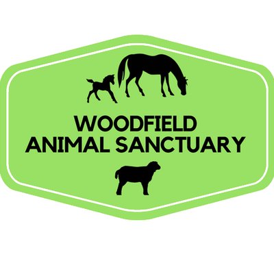 @AnimalWoodfield Woodfield Animal Sanctuary Channel | 24vids