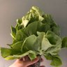 Cho bạn cent nhân viên khu du lịch Thuỳ Dương. Ở Vũng tàu bú ở tollet ...