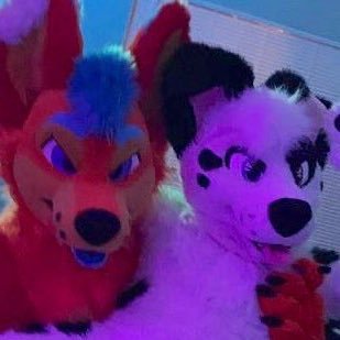 People are still wilding over how I went swimming in fursuit at... | 24vids